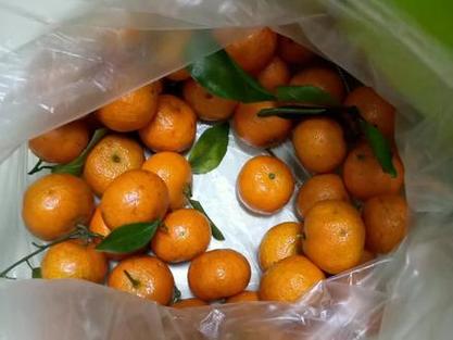 剥了橘子皮手指红了截图