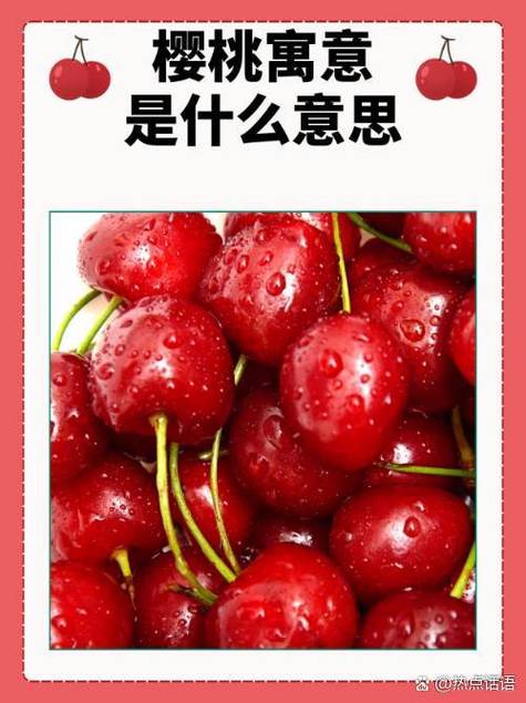 樱桃代表什么意思图标