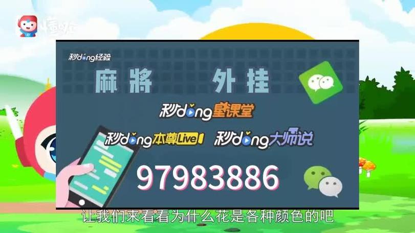 在哪里能买到挂