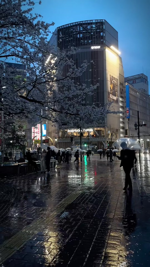 下雨氛围感图片截图