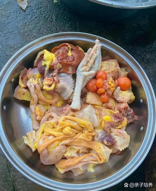 孕妇鸡汤图标