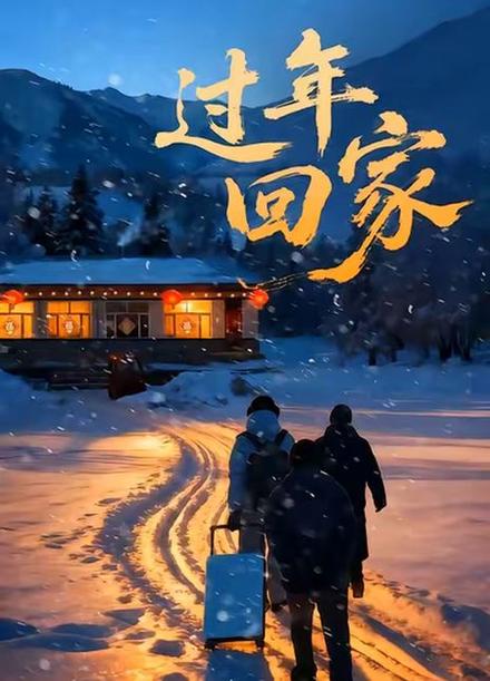 过年回家电影在线观看截图