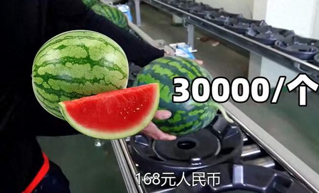 多少西瓜币可以兑1元图标