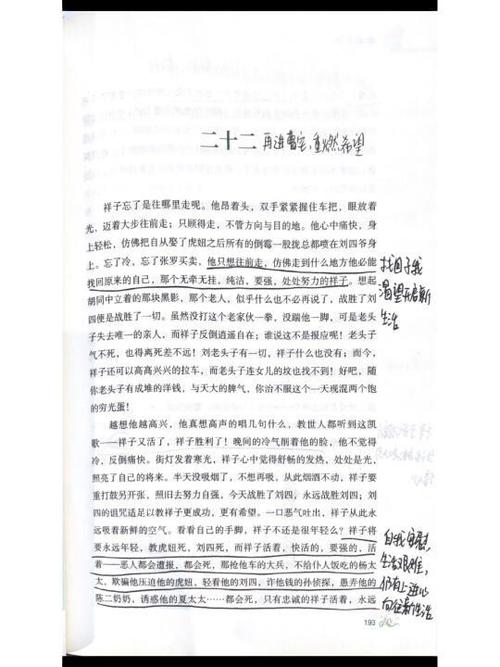骆驼祥子原书全文图标