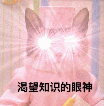 渴望的眼神表情包截图