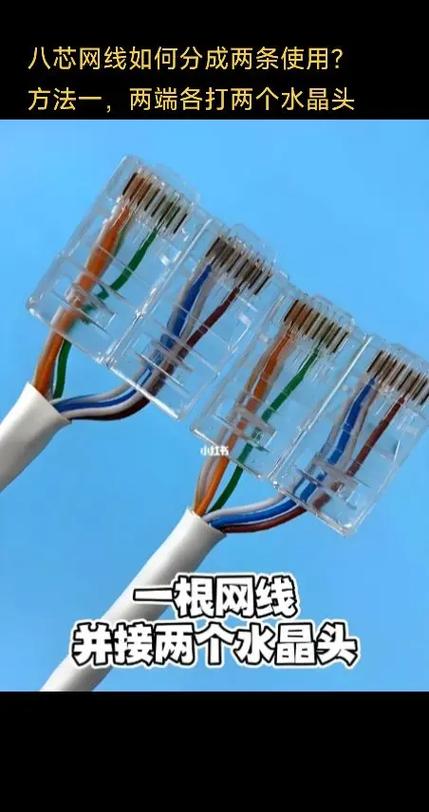 一根网线两家用怎么用啊截图