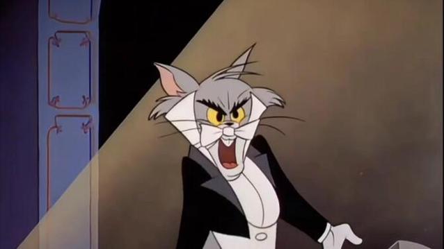 汤姆猫演唱会截图