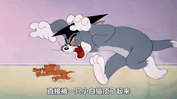 猫抓了老鼠身上会带病毒吗图标
