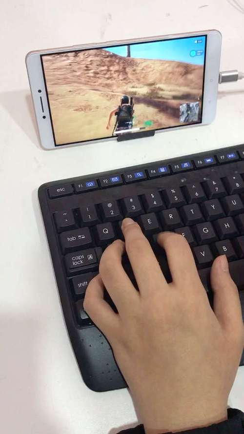 电脑能玩手机吃鸡吗图标