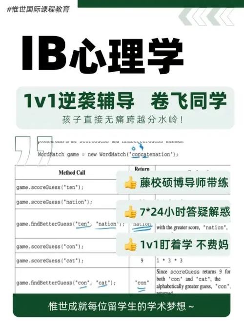 ib课程在线辅导