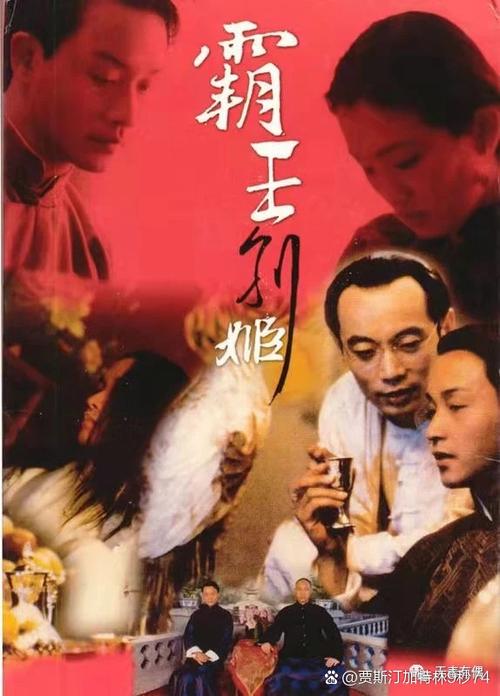 霸王电影免费播放图标