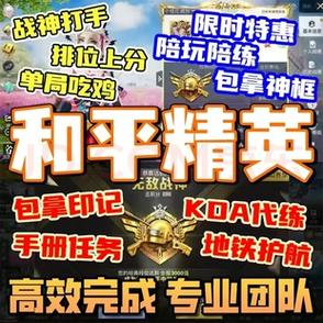 和平精英代打平台图标