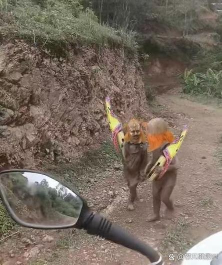 小妖你往哪里跑截图