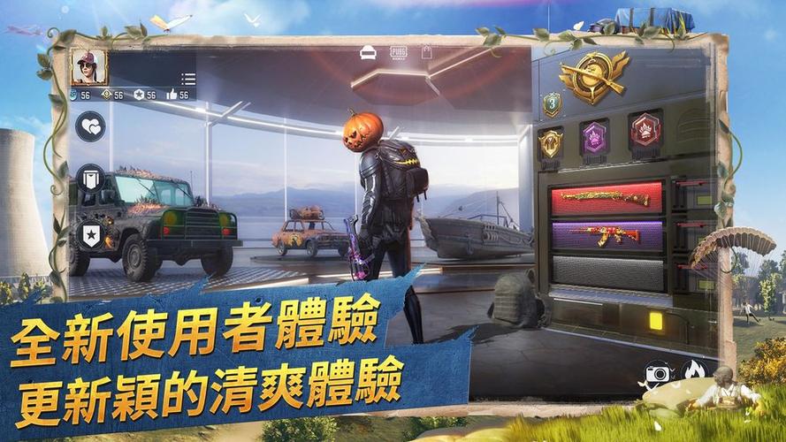 刺激战场轻量版测试服图标