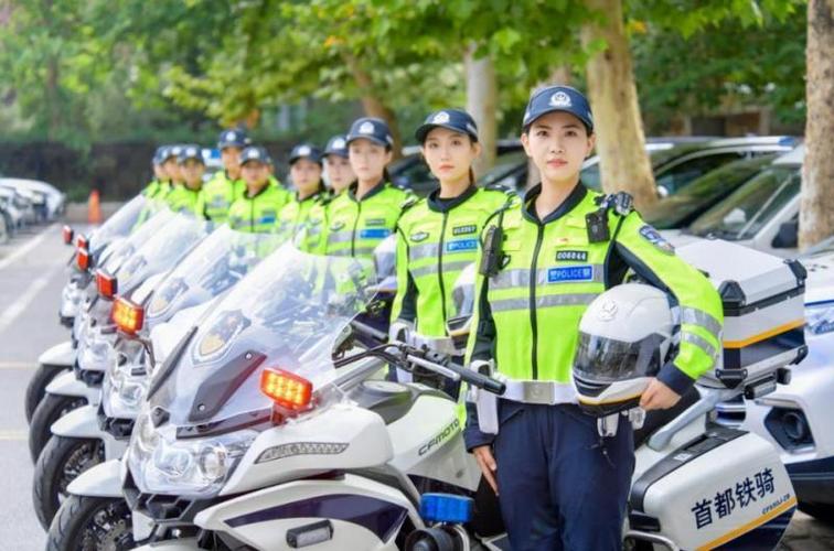 北京交警app3.1.0图标