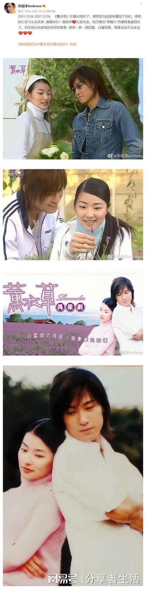 薰衣草电视剧网盘图标