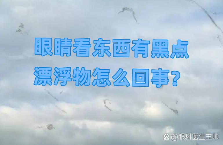 看东西有小黑点图标