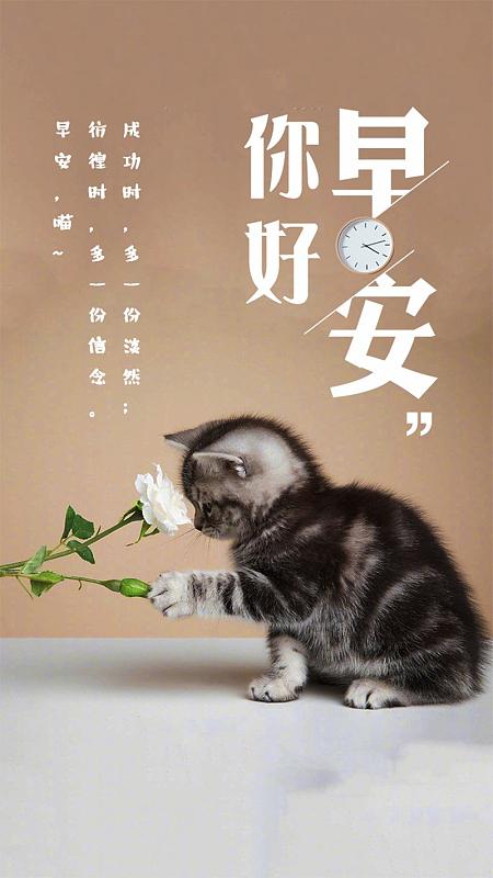 与猫咪有关的网名