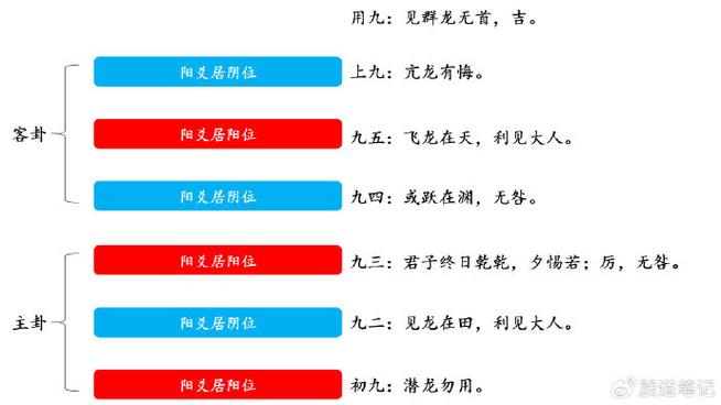 乾卦象曰