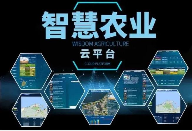 金牛骄子综合服务智慧云平台截图
