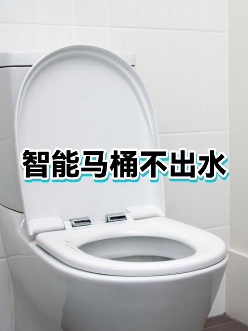 自动马桶不出水