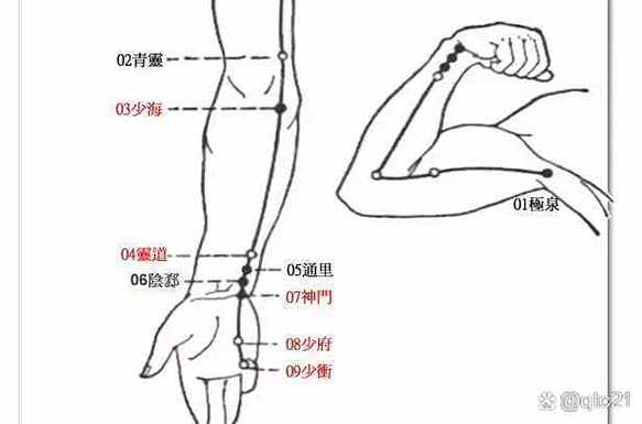 手少阴心经的起始点图标
