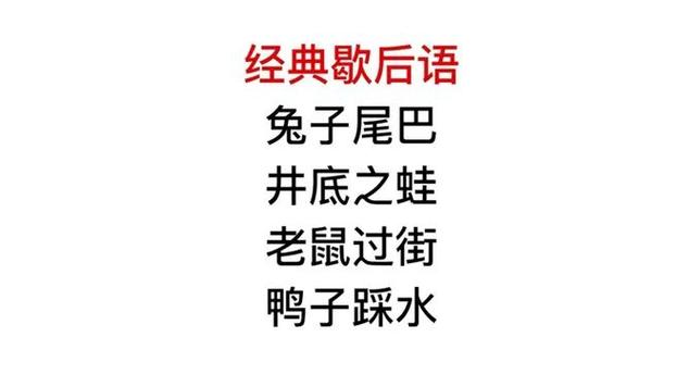 兔的歇后语图标