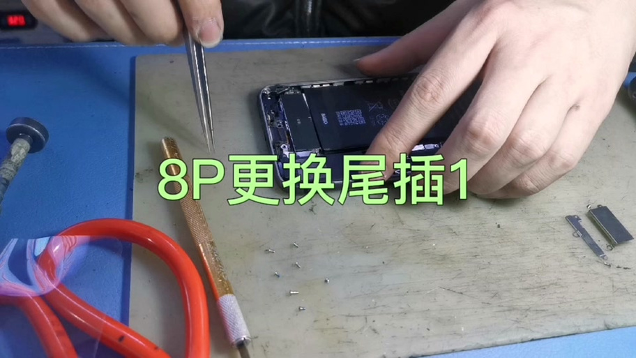苹果换尾插多少钱一个图标