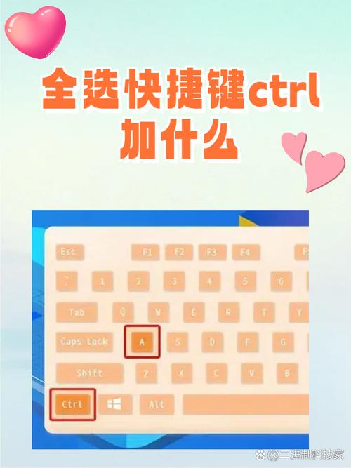 指定全选的快捷方式图标