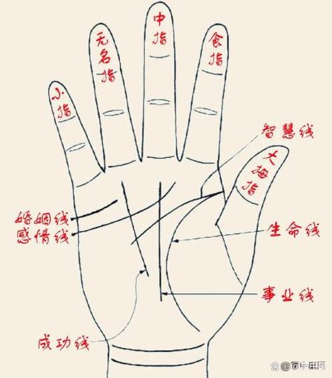 生命线怎么看寿命图标