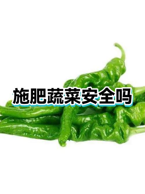 网上买的蔬菜安全吗图标