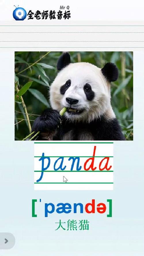 熊猫 panda图标