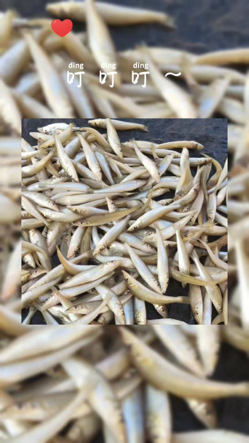 沙丁鱼的功效与作用截图