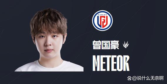 lgd战队老板是谁图标