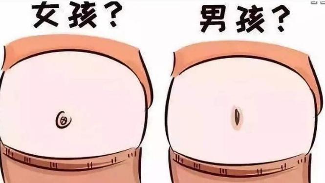 怀儿子的早期症状