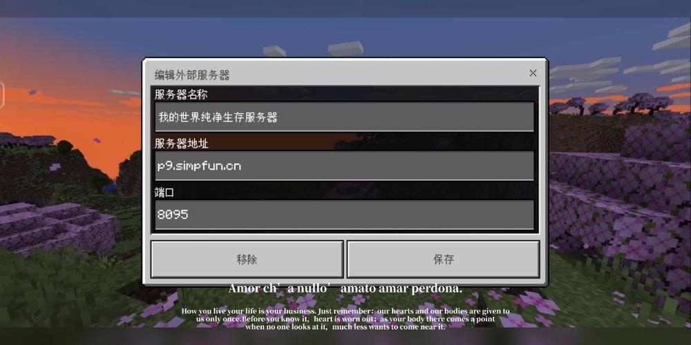 我的世界纯净生存服务器图标