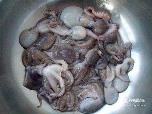 八爪鱼怎么处理干净图标