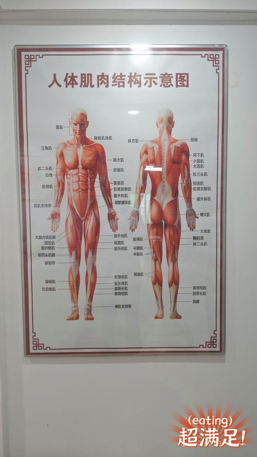 天天走步对身体好么图标
