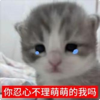 打不搭理你是我的图标