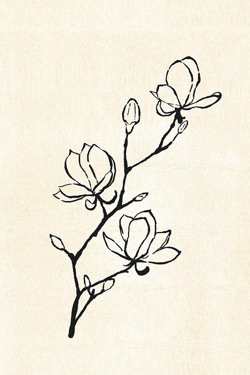 木兰花漫图标