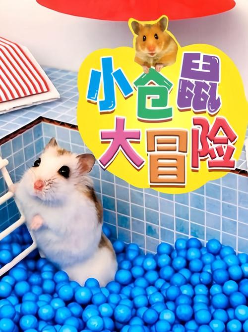 小仓鼠大冒险险图标