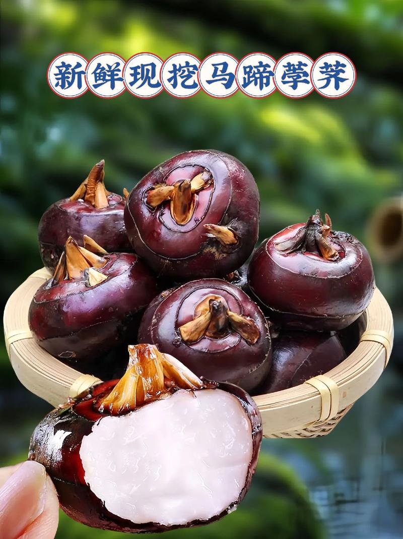 马蹄链会关闭吗截图