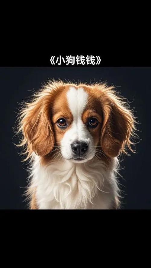 小狗钱钱mobi百度网盘图标