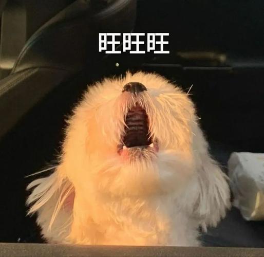汪汪表情包图标