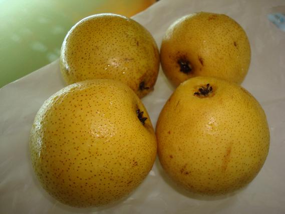 冻秋子梨是什么梨