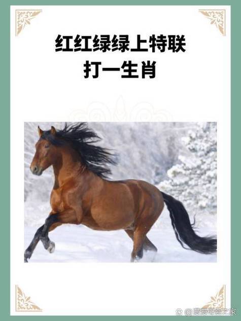 锦钰最旺属马能用吗截图
