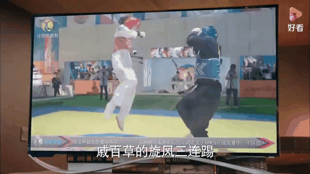 旋风少女踢馆图标