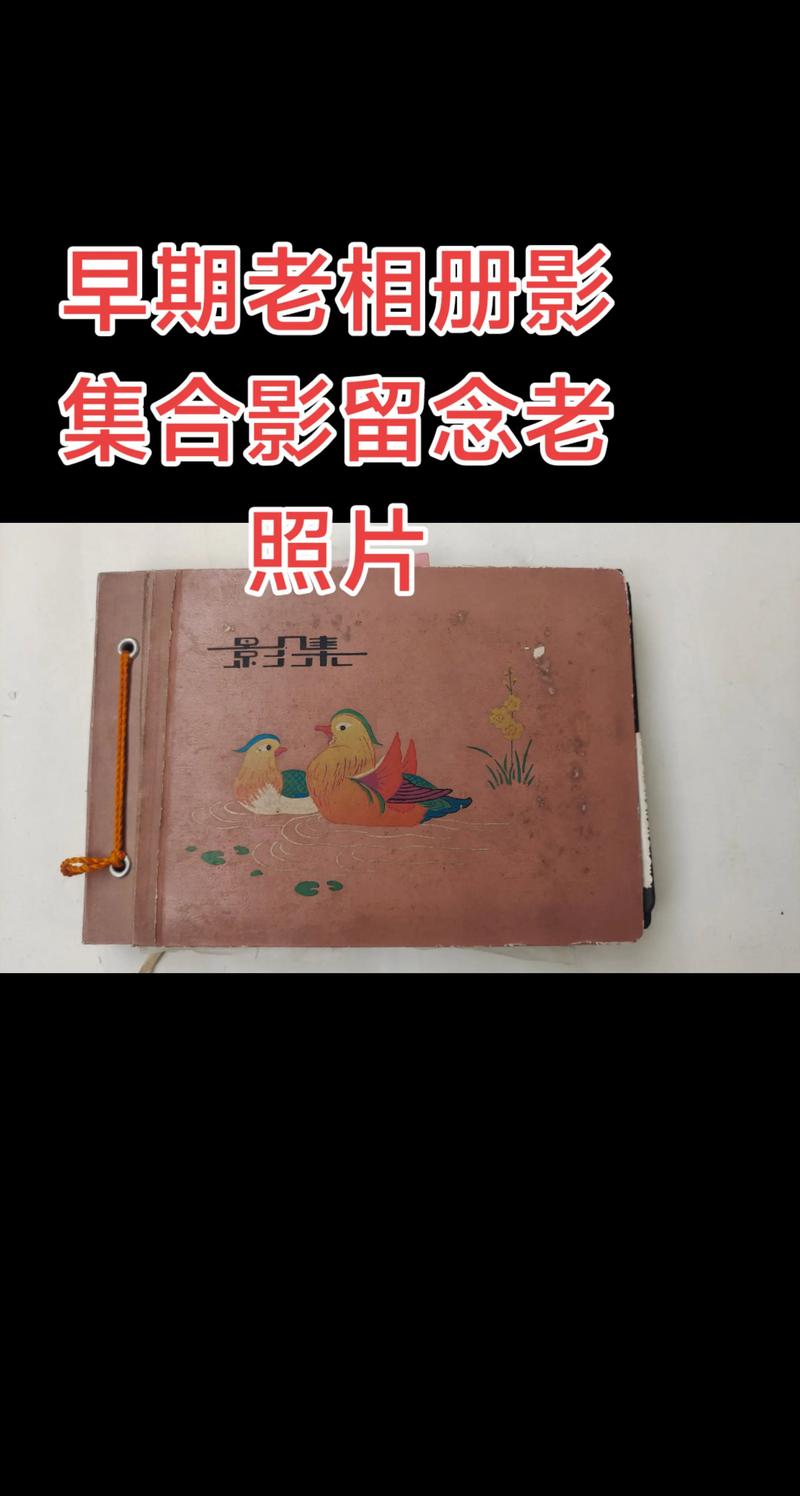 时光相册旧版本2016图标
