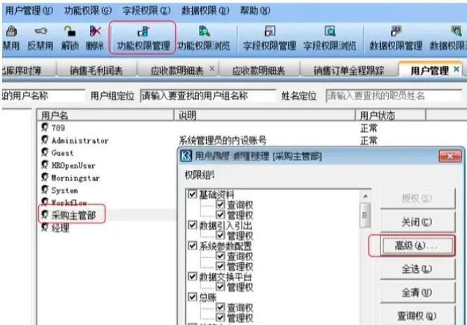 金蝶系统管理员的权限图标