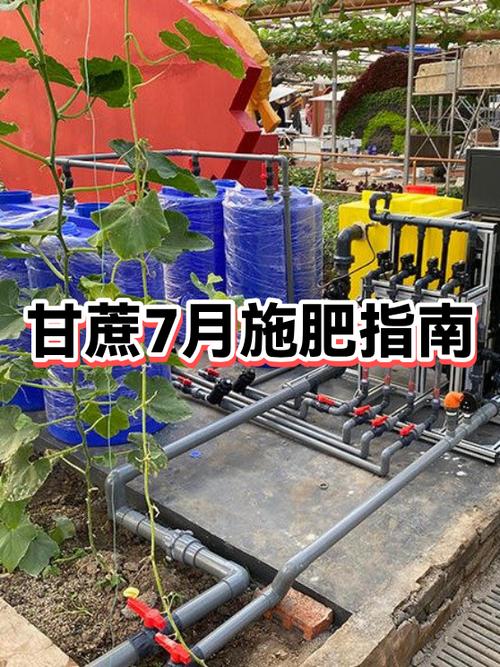 卖甘蔗一天赚多少钱图标